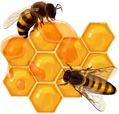 Chelsea Bees | Best Restaurants & Food Delivery in Harare